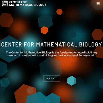 About Us – Center for Mathematical Biology
